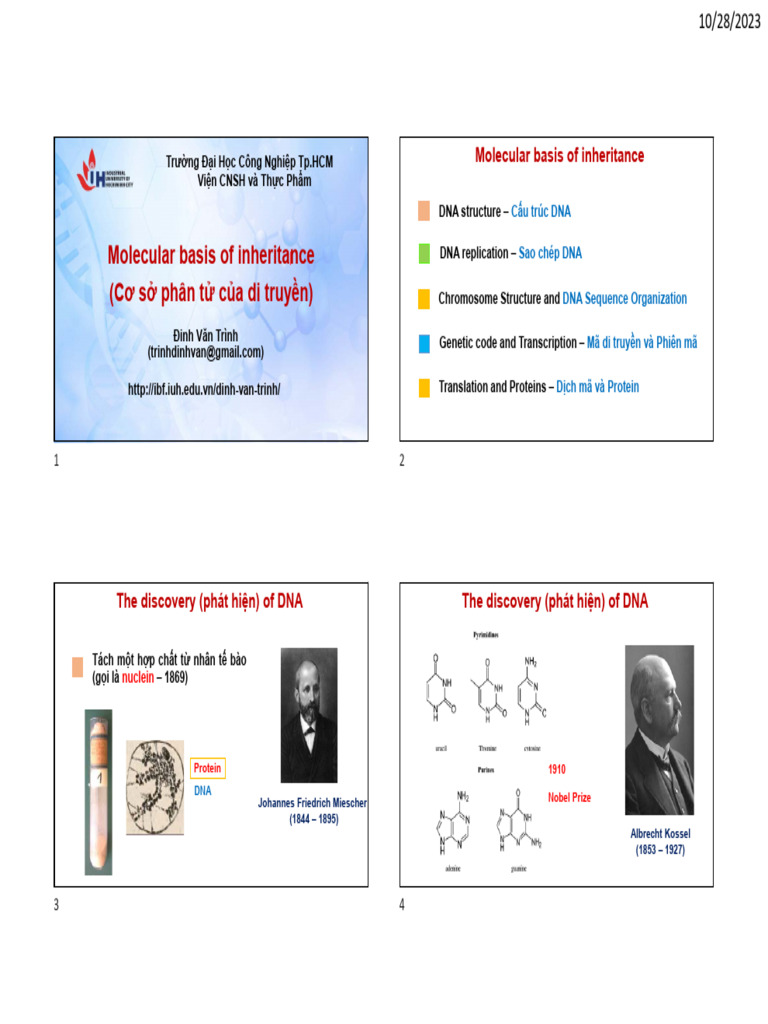 Chapter 5 - Molecular Basic of Genetics | PDF