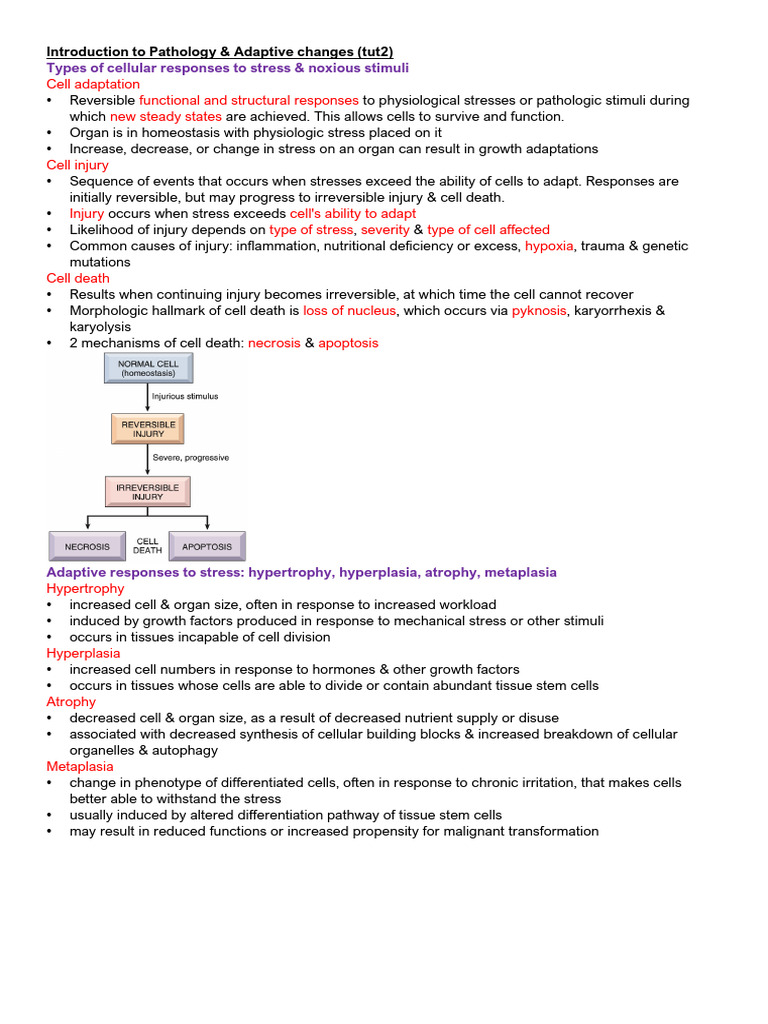 Cell Pathology and Jemi Dynamics Notes | PDF | Hemostasis | Platelet