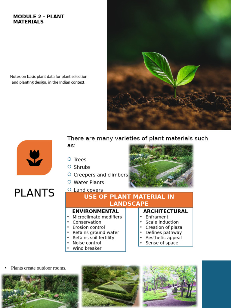 Unknown 2 | PDF | Trees | Soil