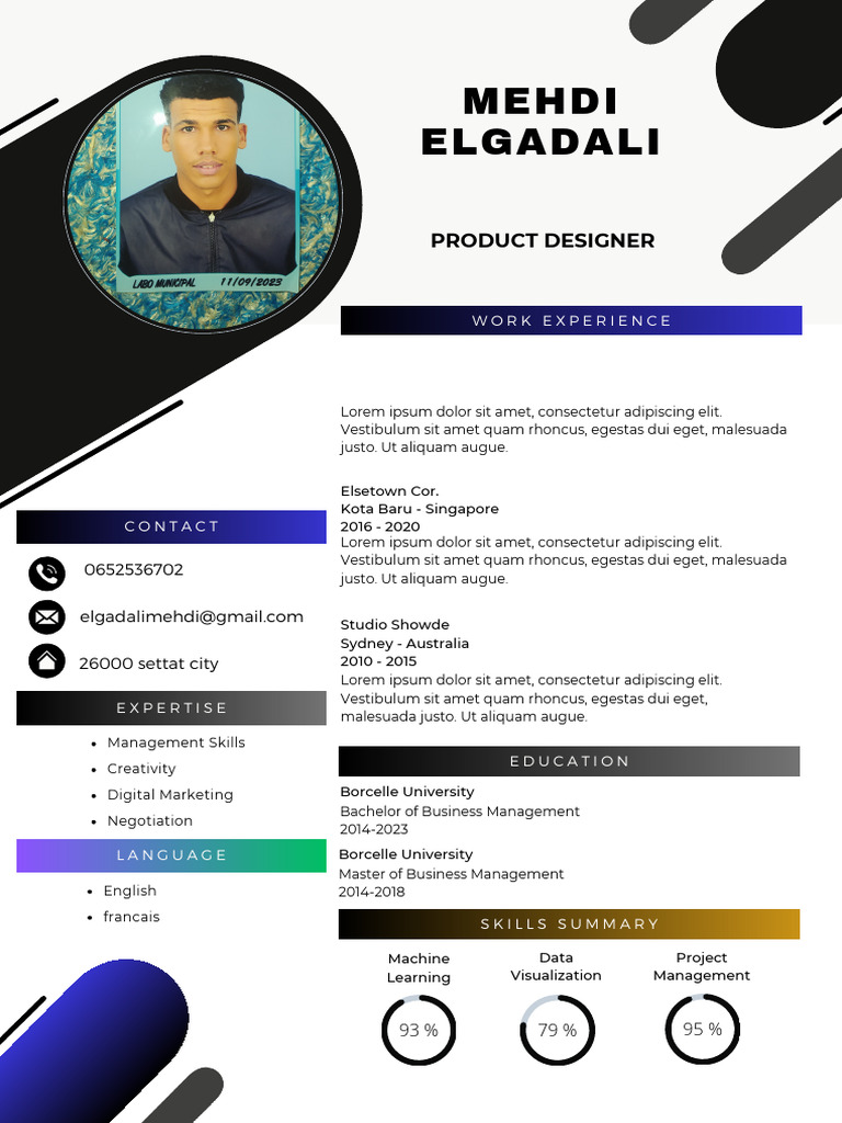 Mehdi | PDF | Business