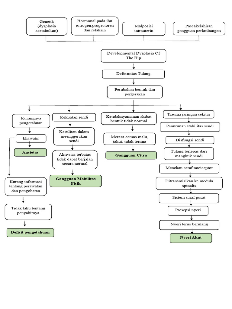 Pathway DDH Pada Anak | PDF