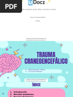 Tec Leve | PDF | Dolor de cabeza | Neurología