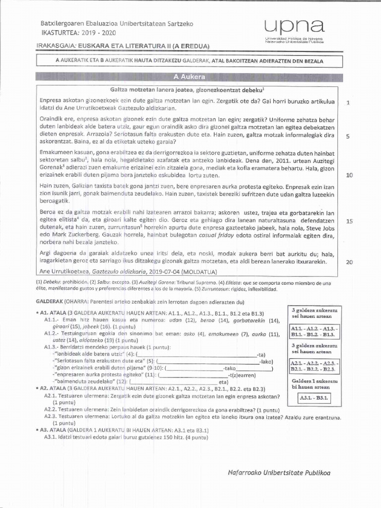 Euskara Selektibitateko Azterketa 2020 Ez Ohikoa (Nafarroa) | PDF