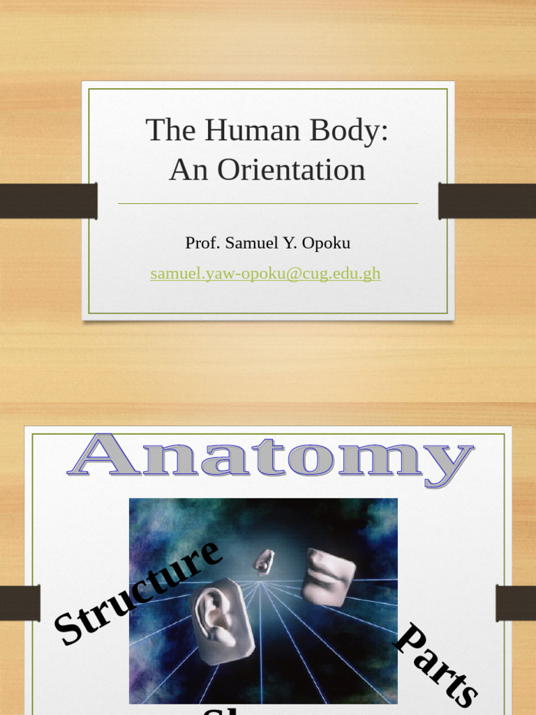 Body Orientation and Systems Overview | PDF | Human Body | Homeostasis