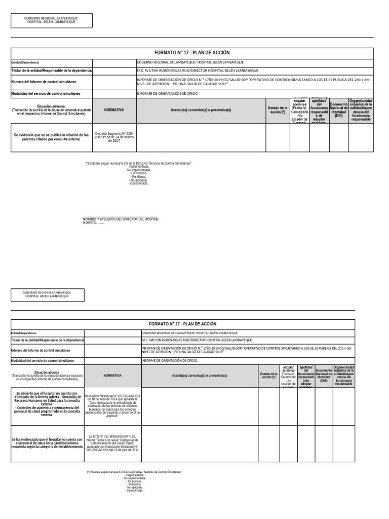 Formato #17 - Plan de Acción: Entidad/Dependencia | PDF | Hospital ...