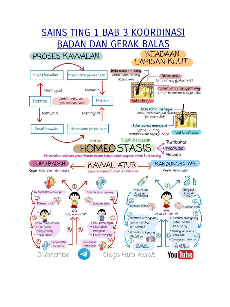 Nota Sains Form 1 | PDF