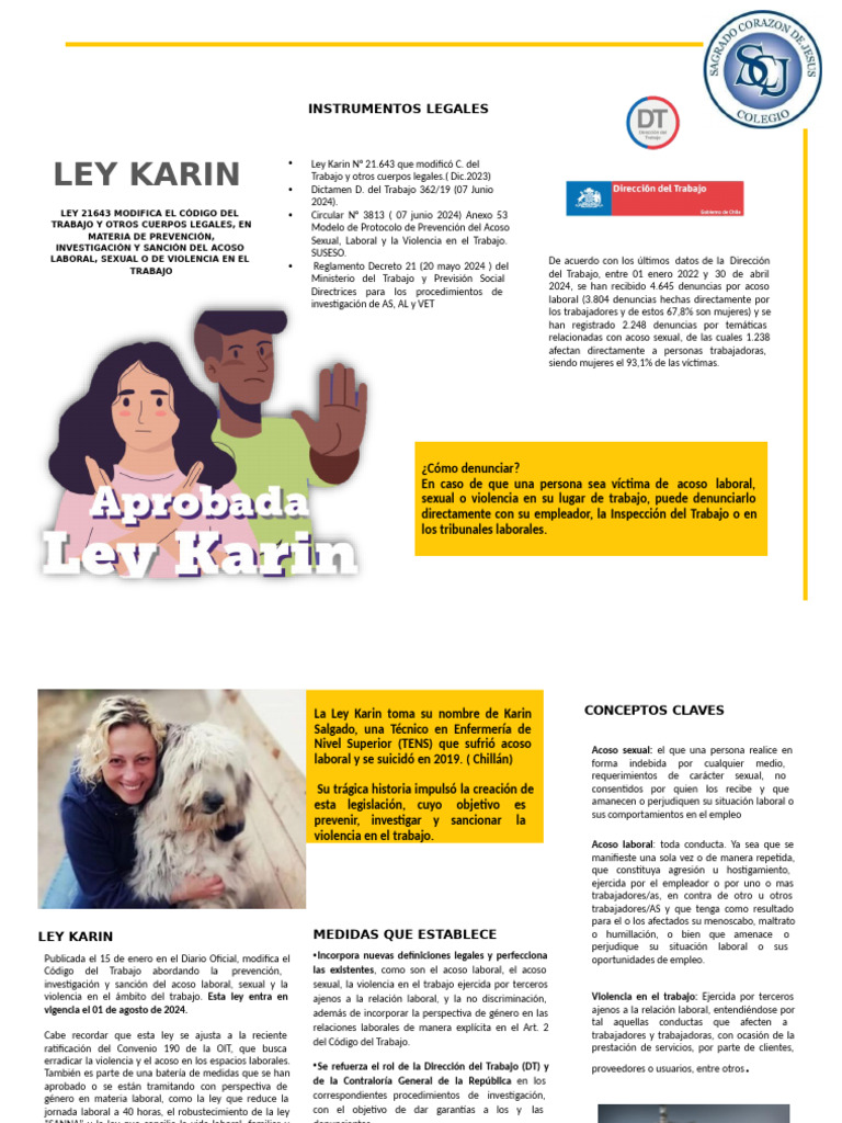 Ley Karin: Protección Contra el Acoso Laboral | PDF | Acoso sexual | Derecho laboral