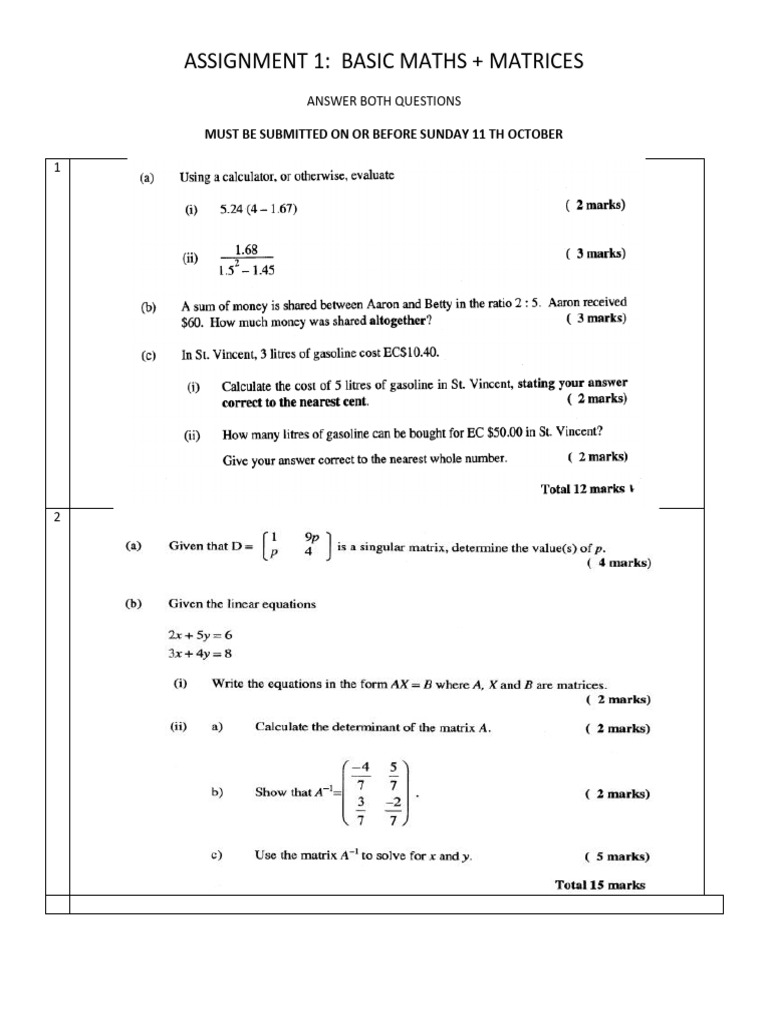 Assignment 1 Focus Matrices | PDF