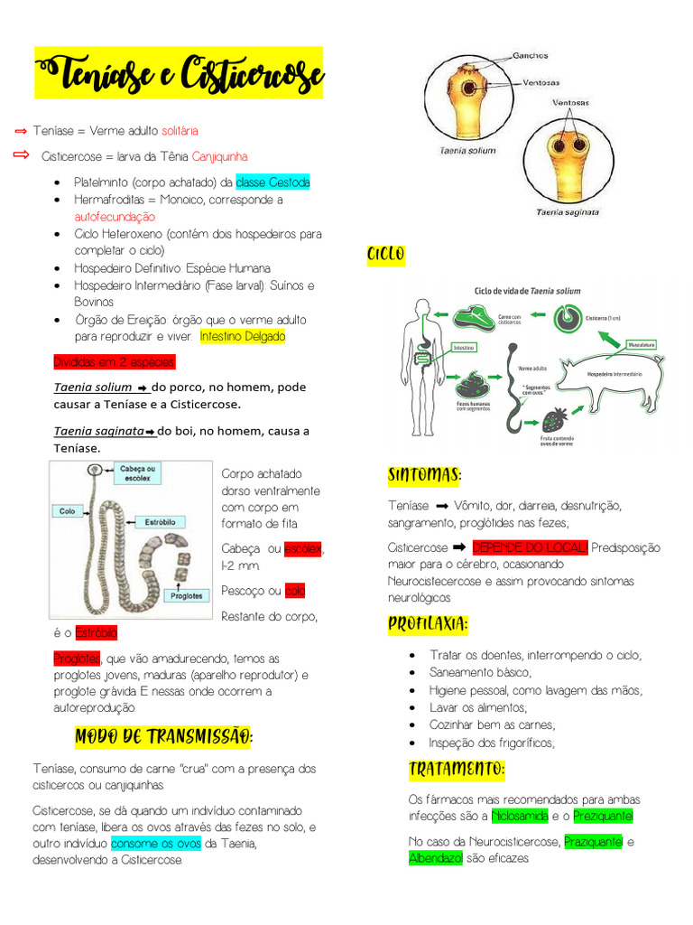 Profilaxia da Teníase e Cisticercose | PDF | Parasitologia | Microbiologia