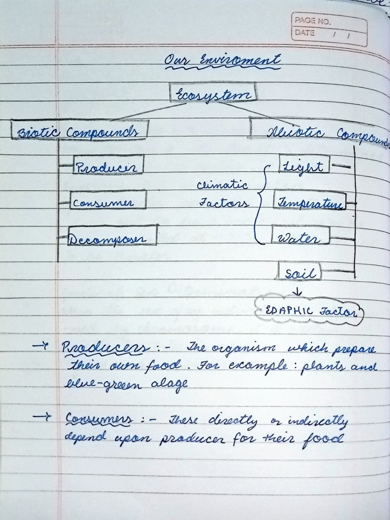 Our Environment Notes | PDF | Science & Mathematics