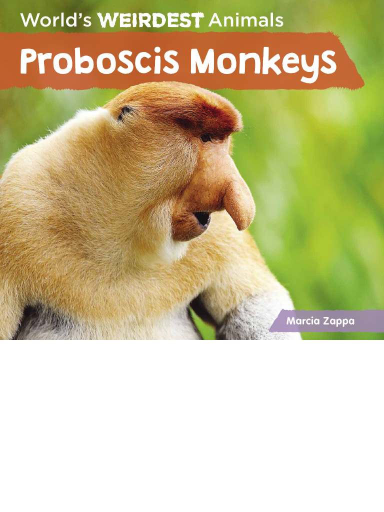 Proboscis Monkeys Facts | PDF | Wellness