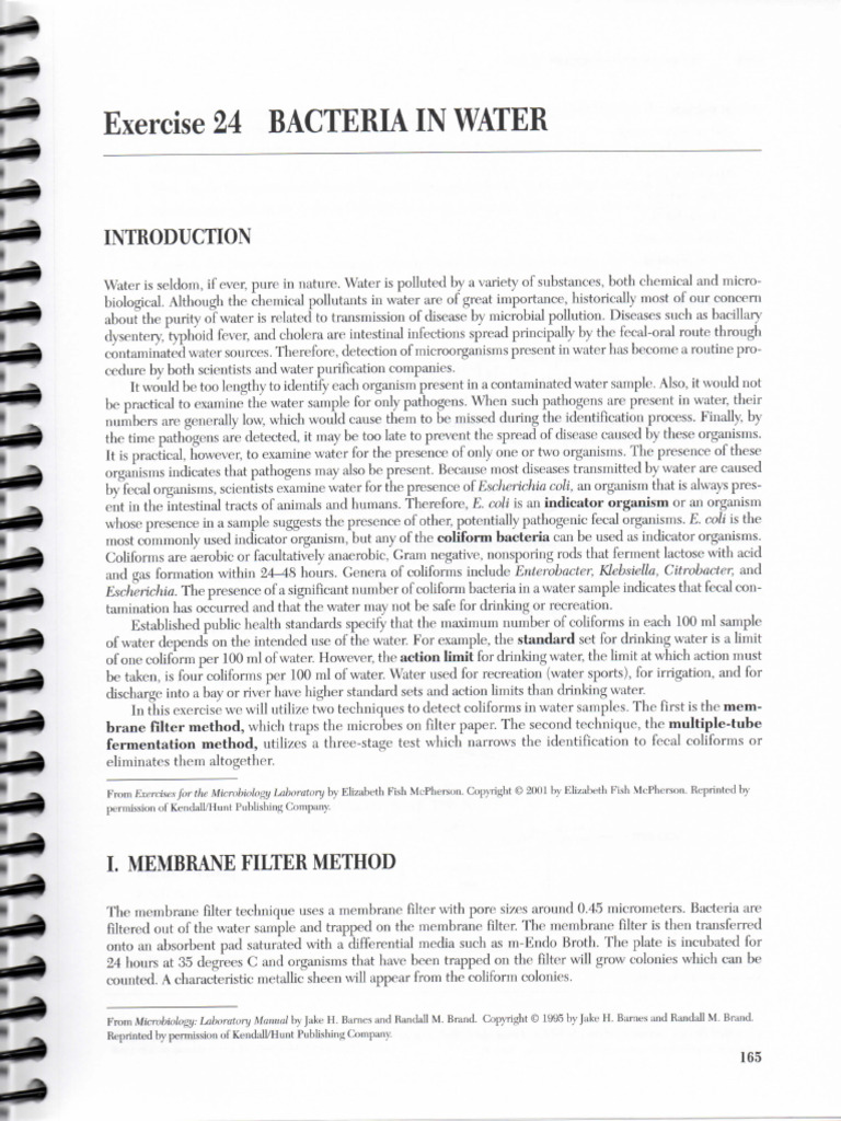 Ex 24 Bacteria in Water | PDF