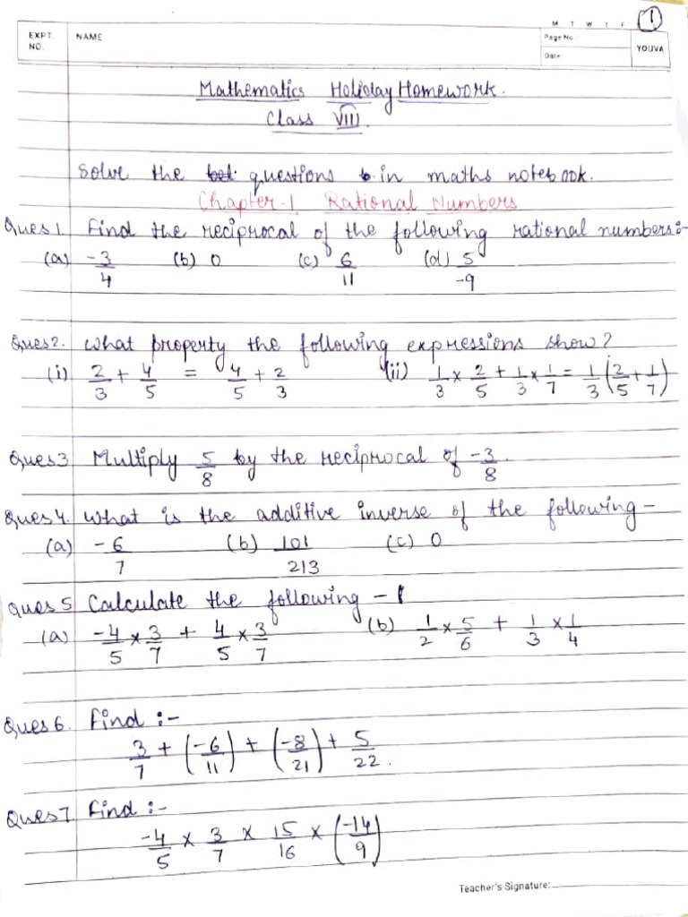 VIII - Maths Vacation Homework | PDF