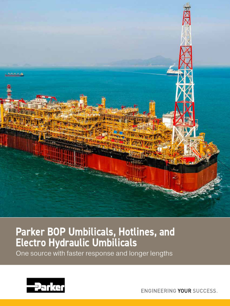4900 Oil Gas Umbilicals | PDF | Pipe (Fluid Conveyance) | Hose