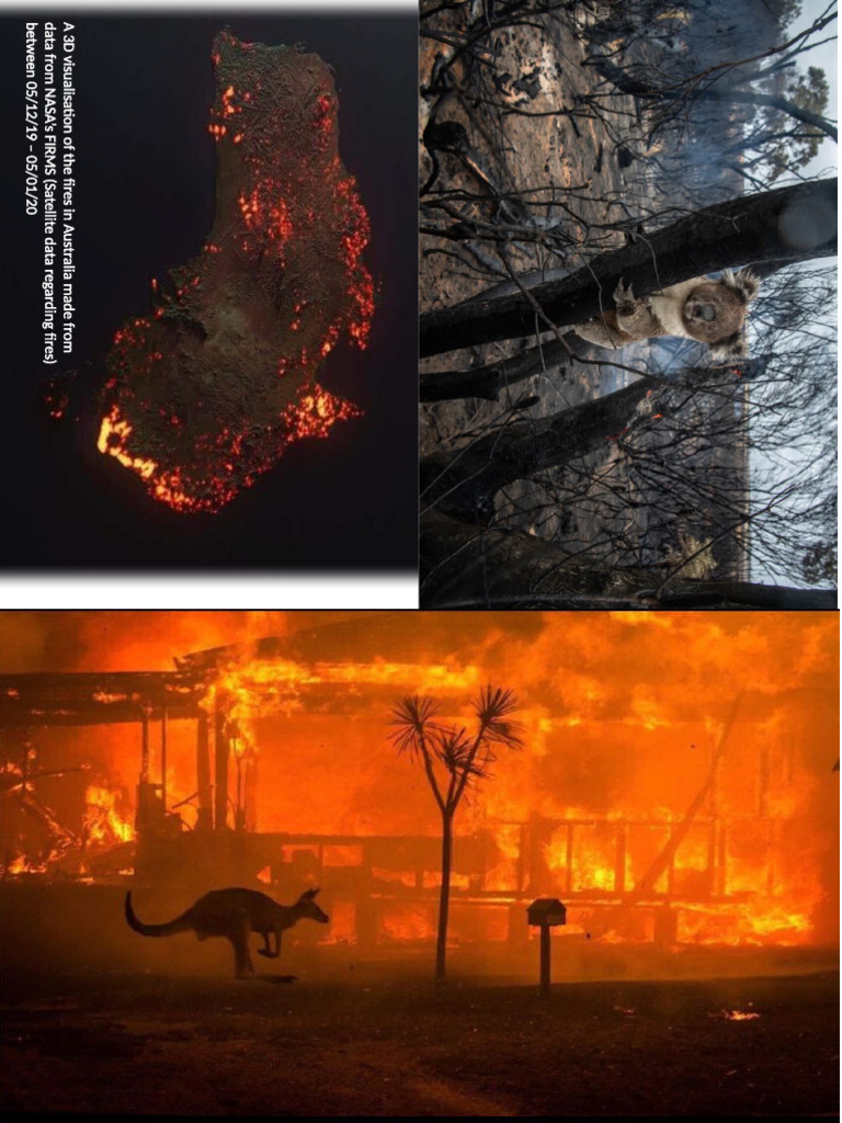 Flood and Fire | PDF