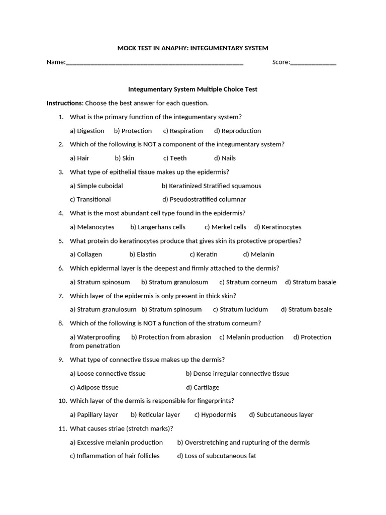 Integumentary System Mock Test | PDF | Integumentary System | Skin