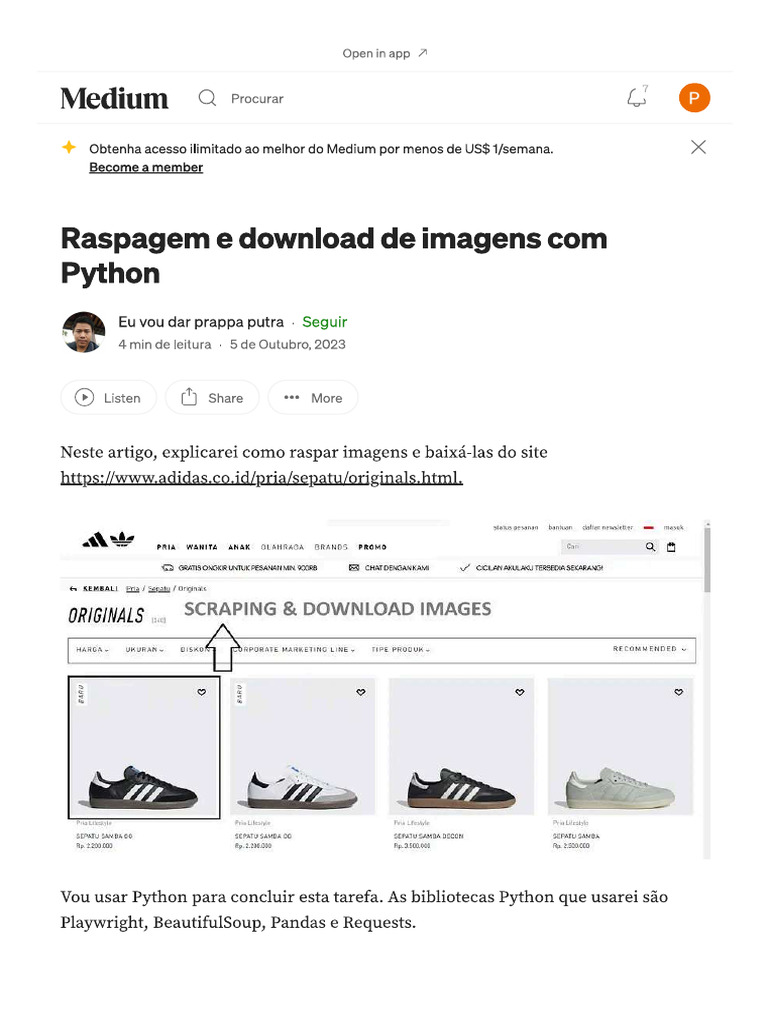 Raspagem e Download de Imagens Com Python | PDF