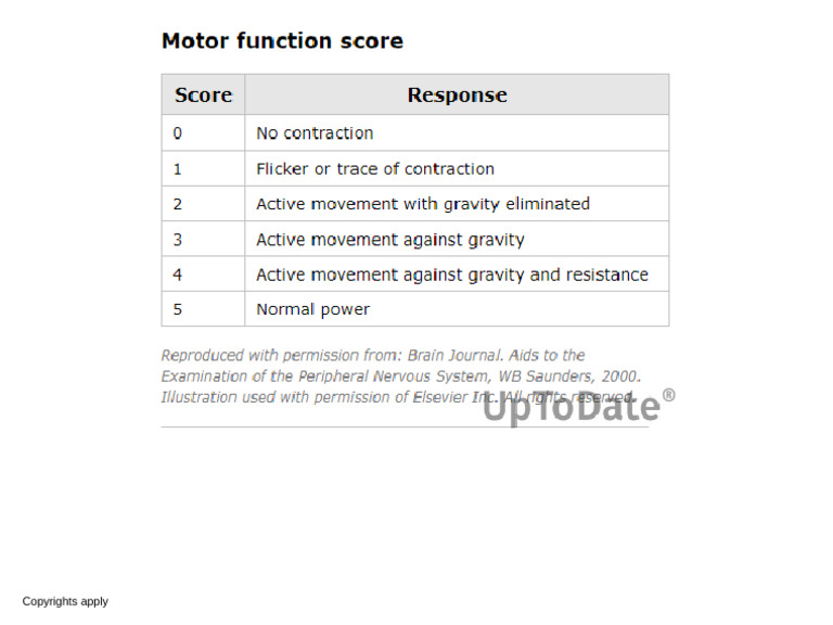 Motor Function Score | PDF