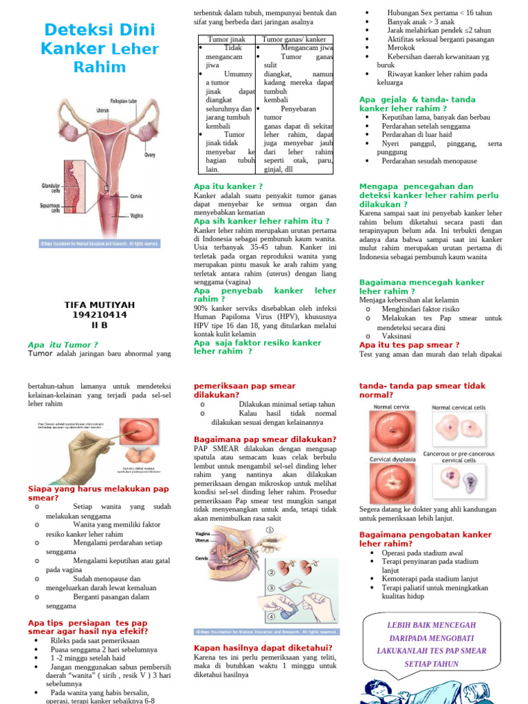 Leaflet Ap' Smear | PDF