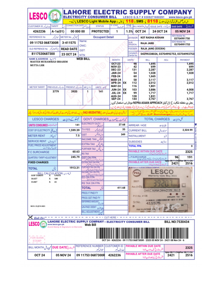 Lesco - Web Bill Oct | PDF