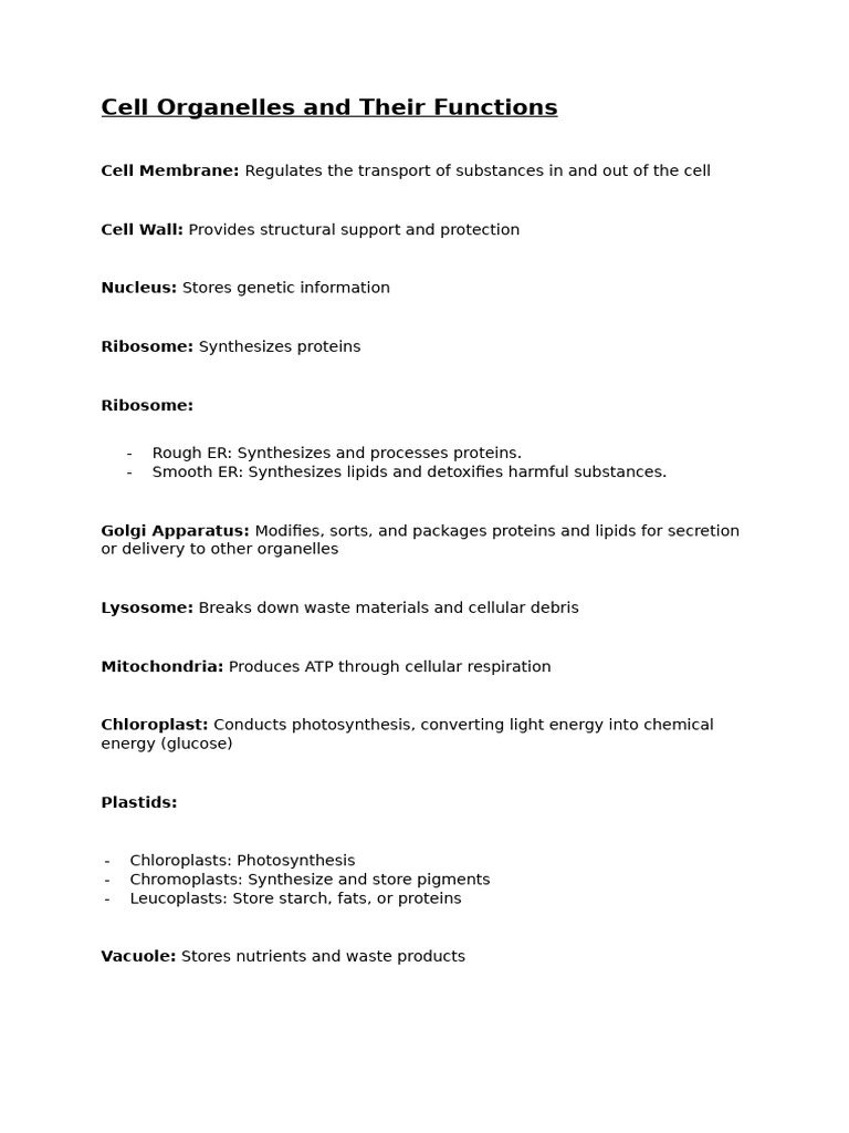 Cell Organelles and Their Functions | PDF | Wellness