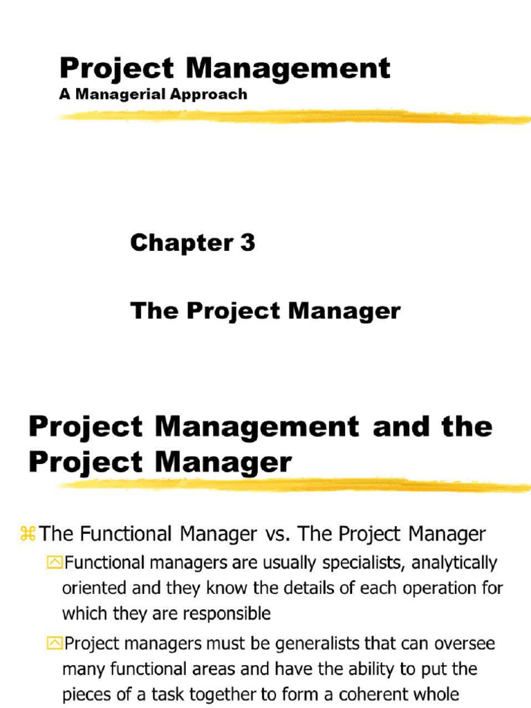The Project Manager | PDF