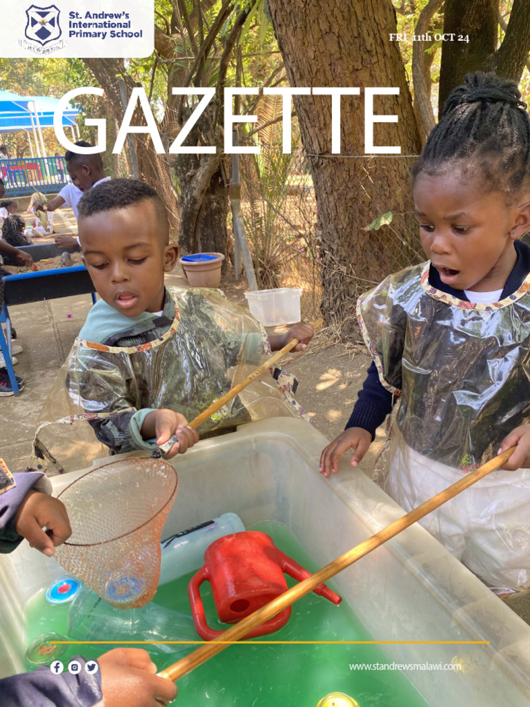 SAIPS Gazette T1A11102024 | PDF | Drawing