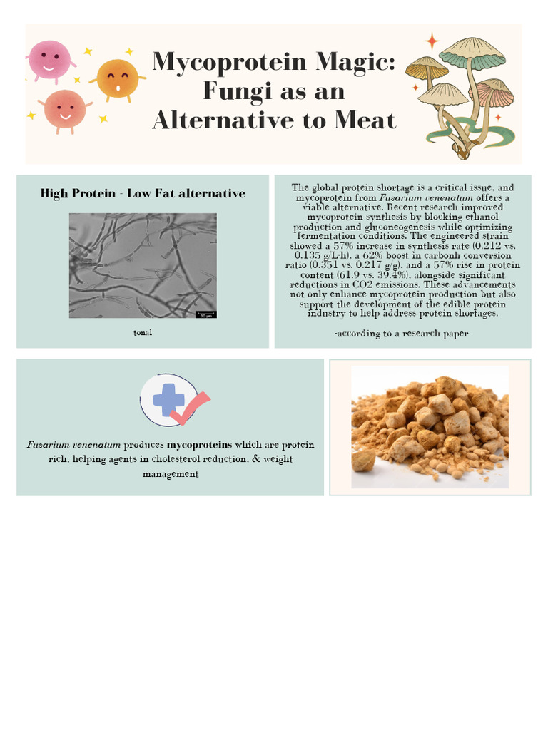 MYCOPROTEIN MAGIC Fungi As Meat Alternative-3 | PDF | Nutrition | Diet ...