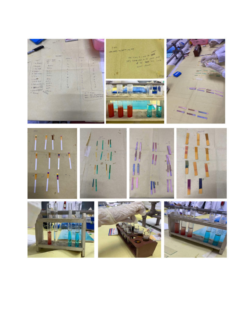 Biochem Lab | PDF
