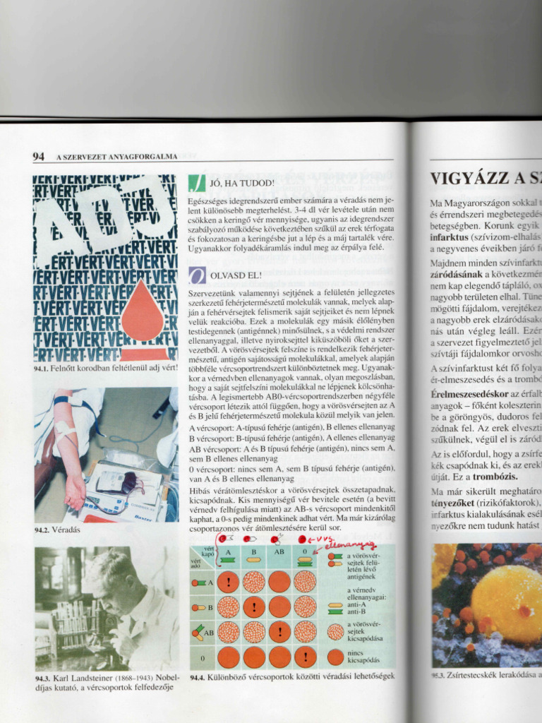 AB0 | PDF