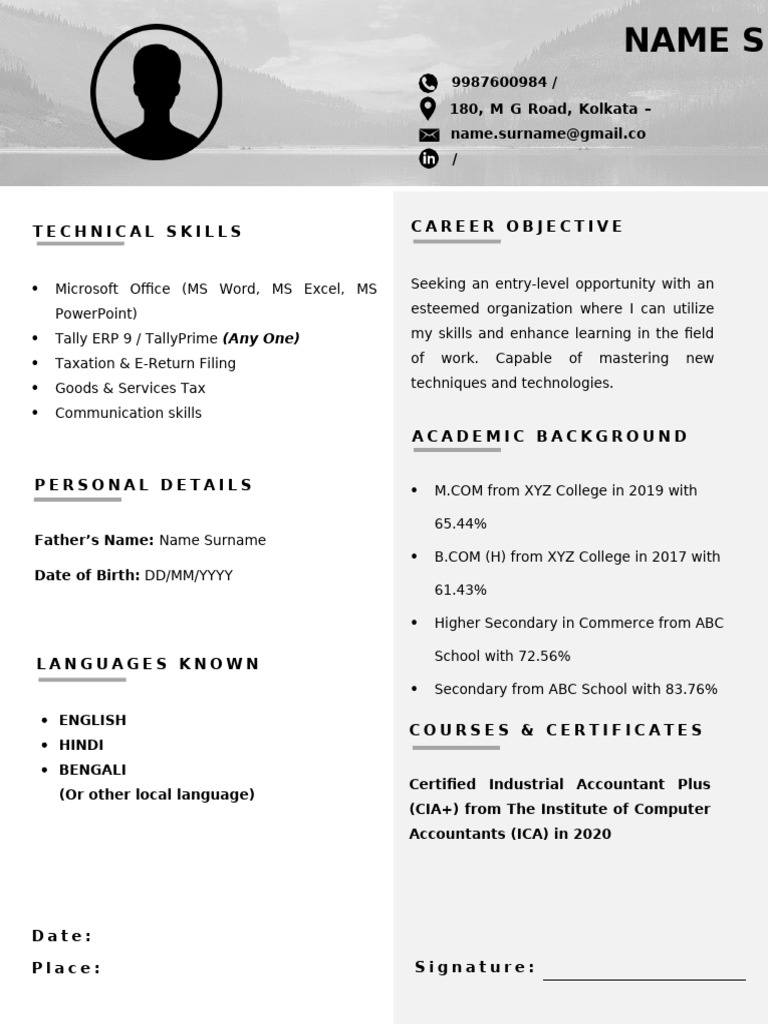 Resume Format - 2 | PDF
