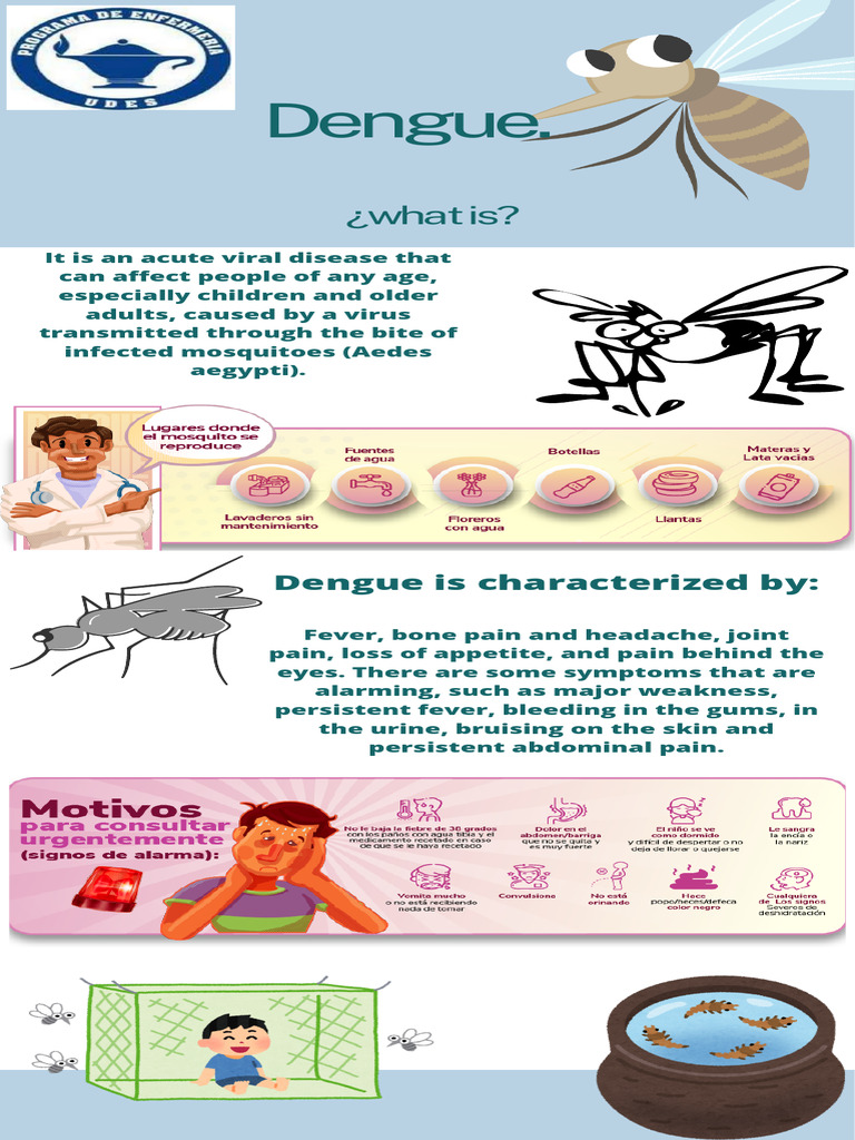 Dengue | PDF
