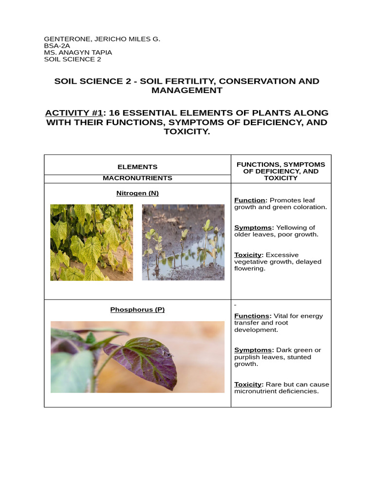 Essential Elements For Plants | PDF | Chemistry | Chemical Elements