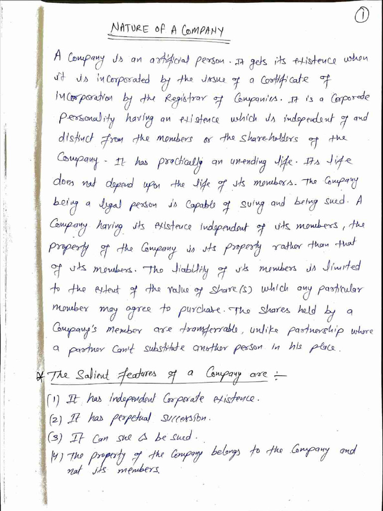 Nature of Company | PDF