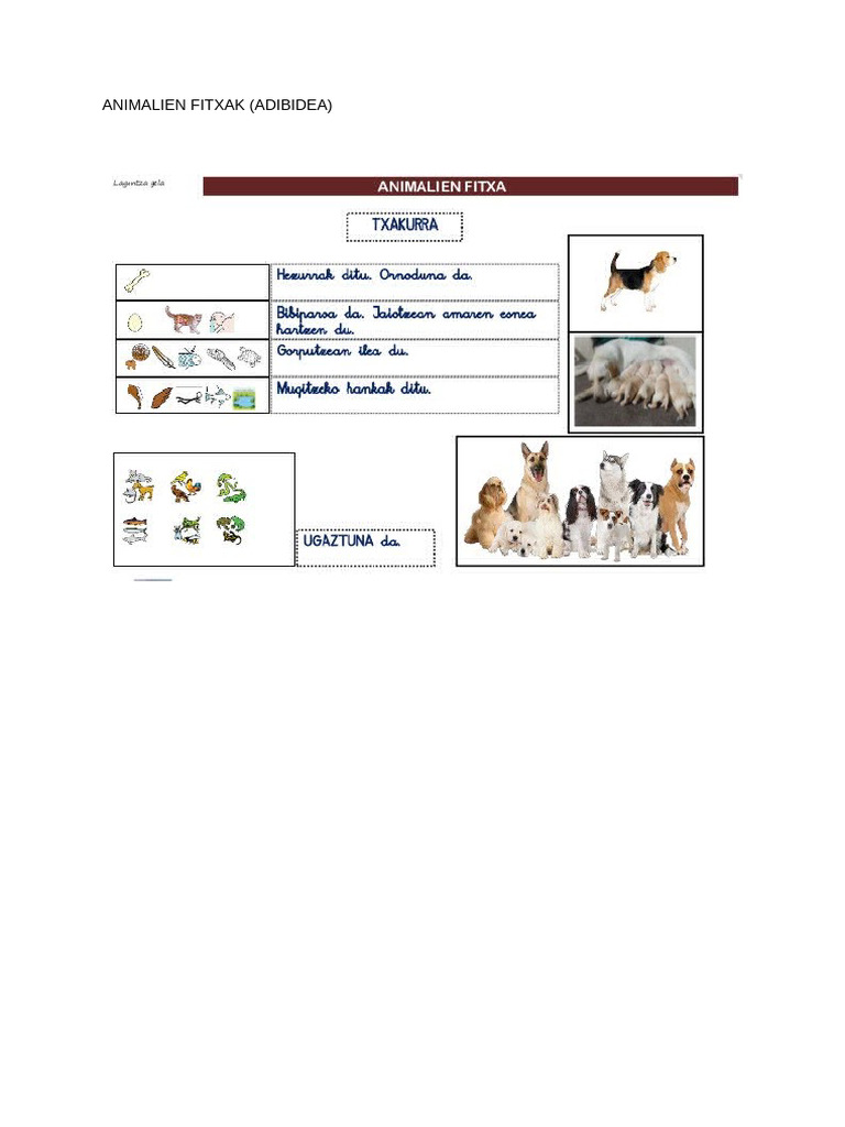 Animalien Fitxak | PDF