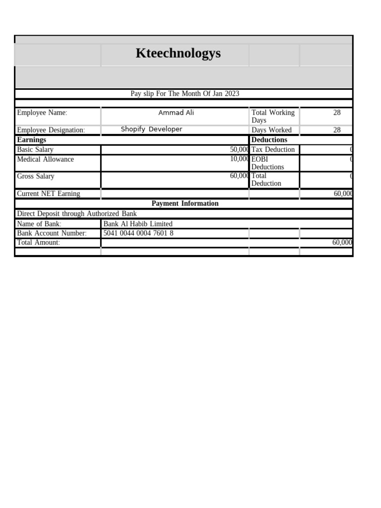 Ammad Ali Pay Slip Jan 2023 | PDF | Finance & Money Management