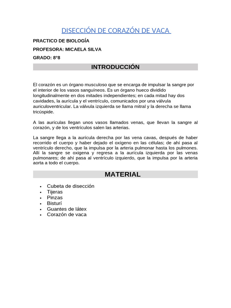 Disección del Corazón de Vaca: Guía Práctica | PDF | Corazón ...