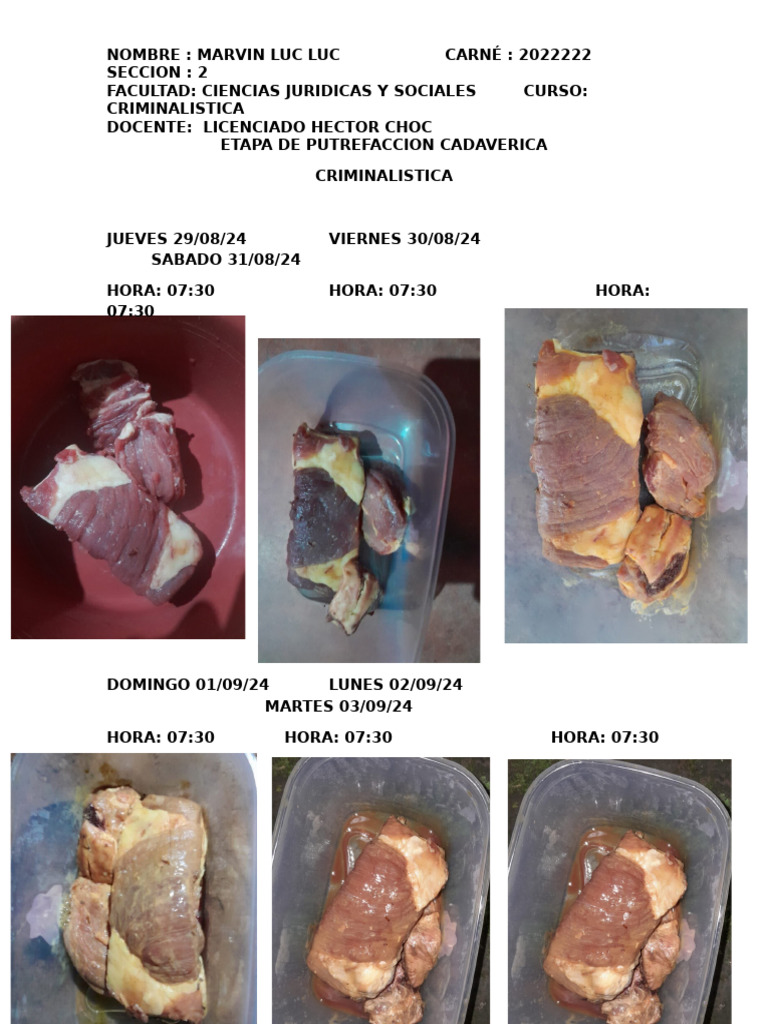 Etapa de Putrefaccion Cadaverica | PDF | Novela negra, policíaca y suspenso