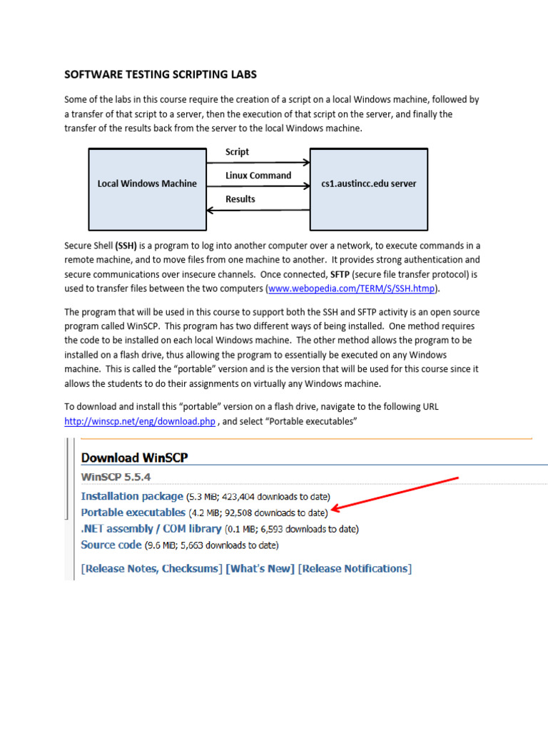 Software Testing Scripting Labs Pdf Secure Shell Computing 3124