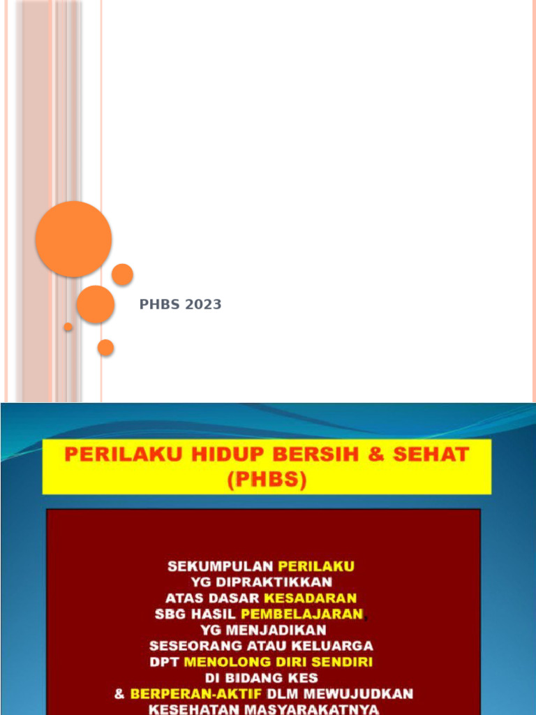 PHBS | PDF