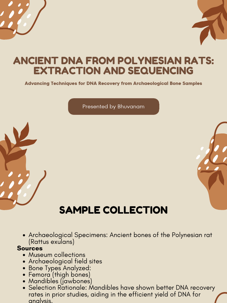Ancient DNA From Polynesian Rats Extraction and Sequencing | PDF | Polymerase Chain Reaction ...