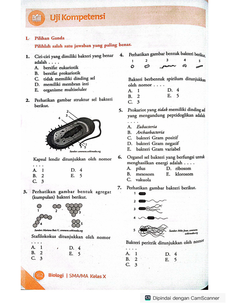 Latihan Soal Bakteri | PDF