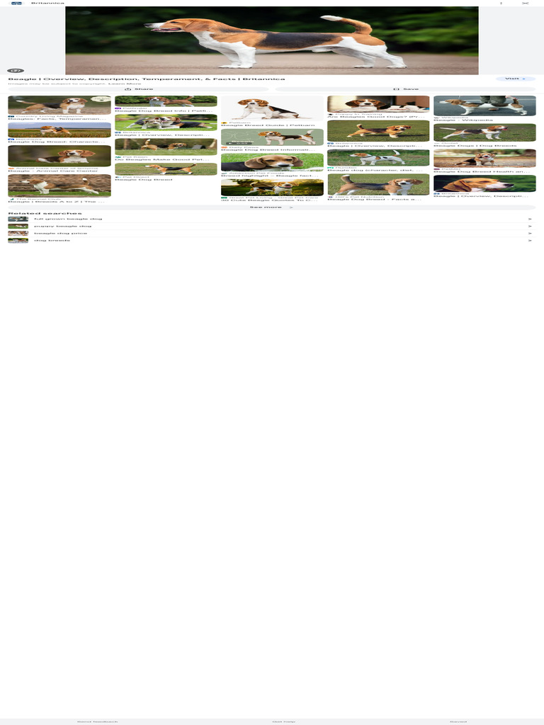 Searchq Dog&sca Esv 579161870&rlz 1C9BKJA enUS1021US1021&hl en-US&biw ...