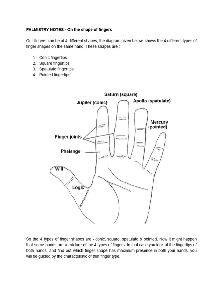 Shape of Fingers | PDF | Career & Growth | Self-Improvement
