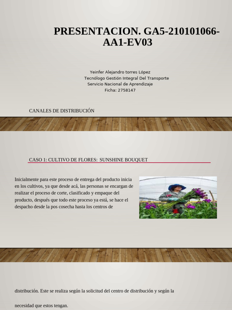 Evidencia GA5-210101066-AA1-EV03. Presentación | PDF | Business