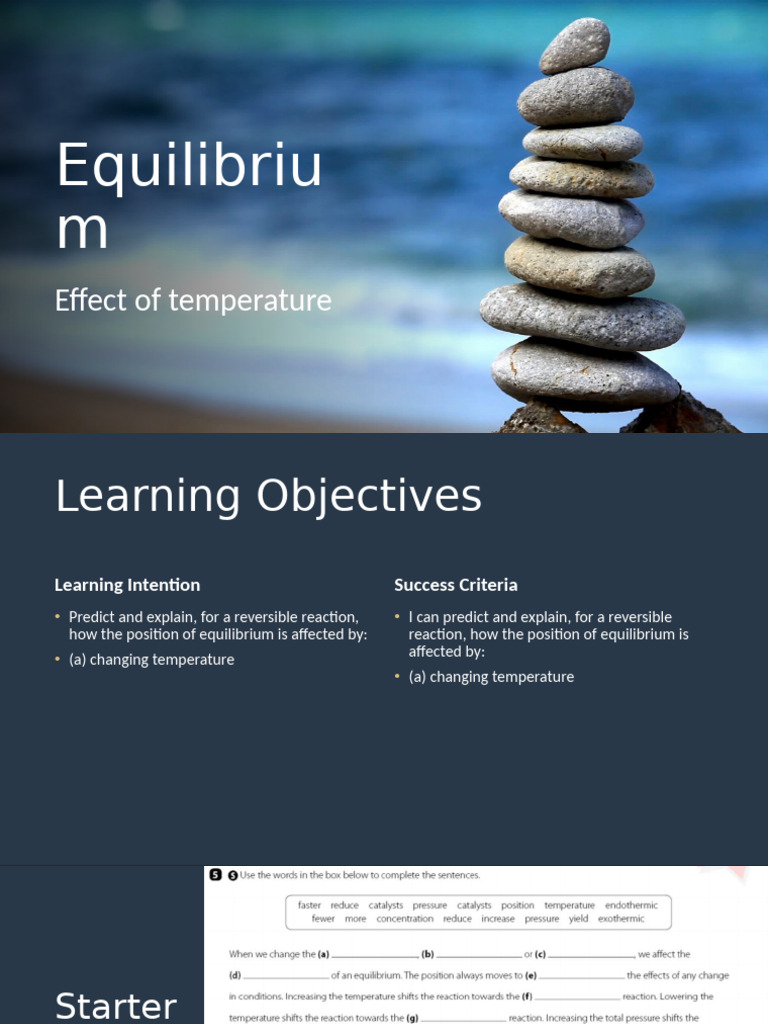 Equilibrium | PDF