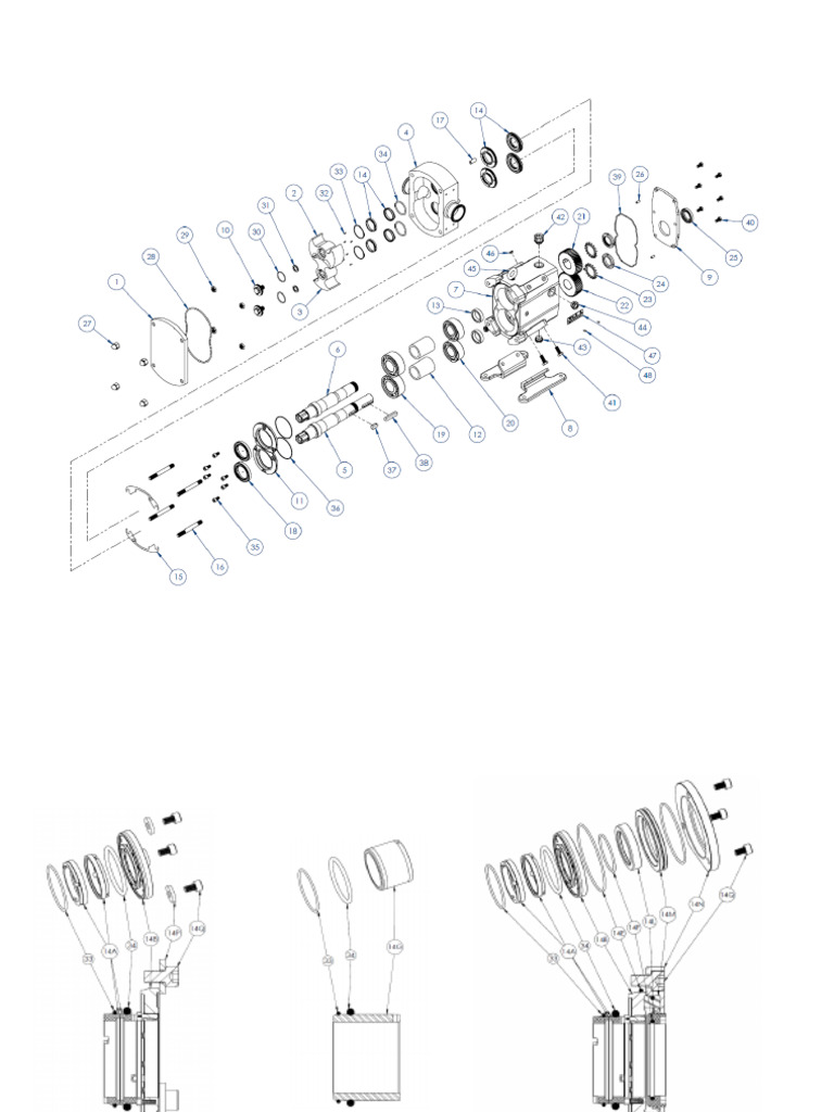 QL Exp 2024 | PDF