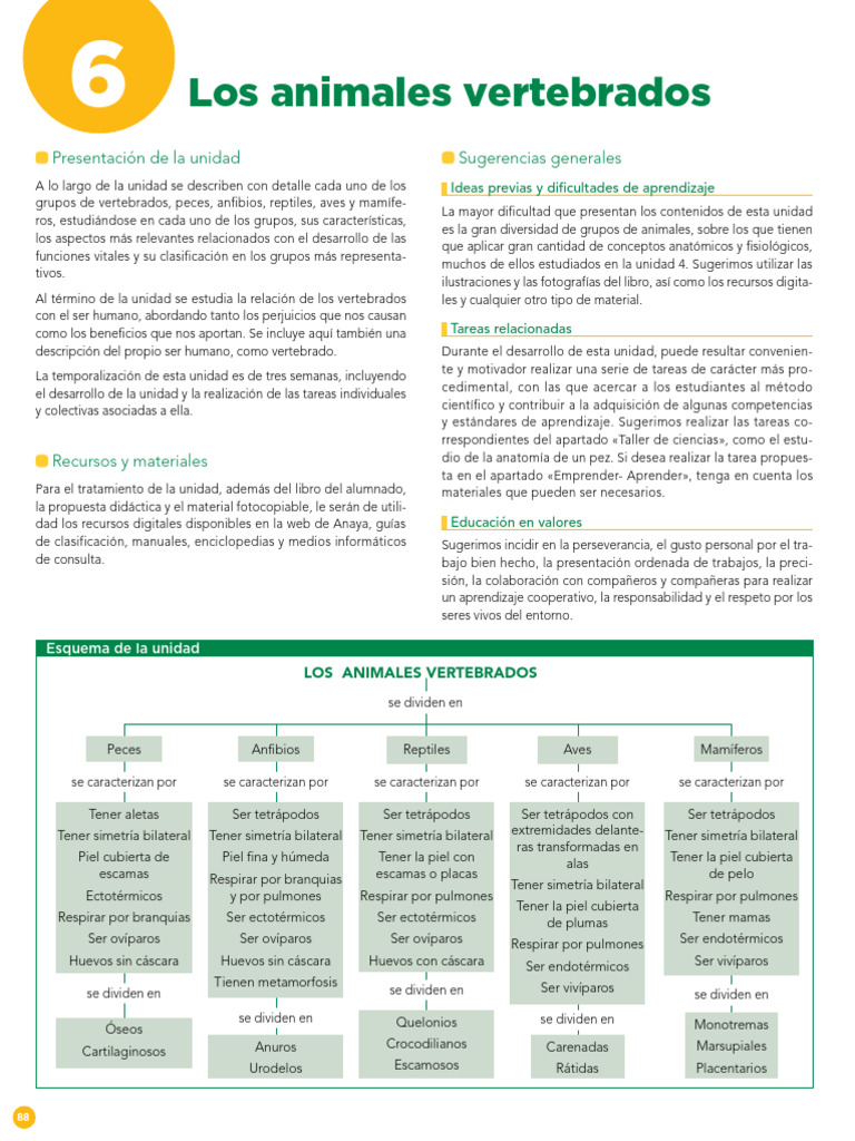Los Animales Vertebrados: Presentación de La Unidad Sugerencias ...