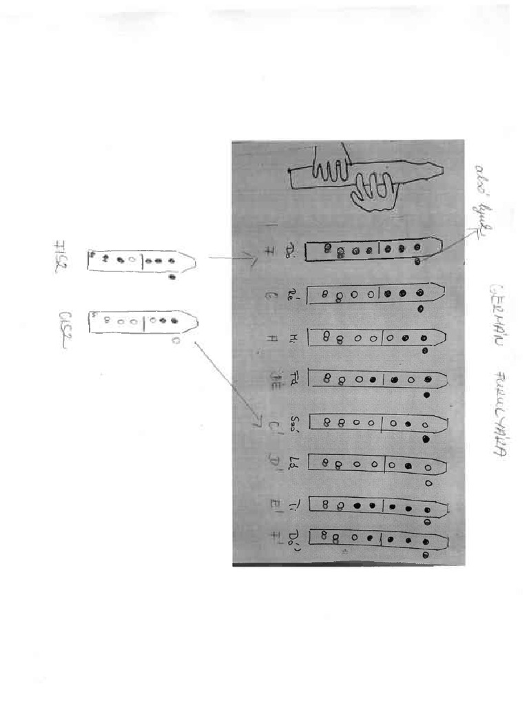 Furulya Fogástáblázat | PDF