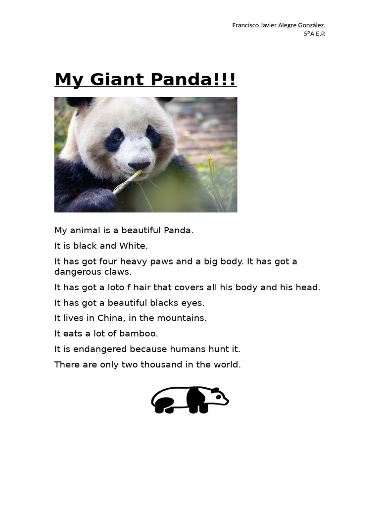 My Giant Panda | PDF